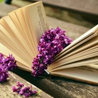 June 24, 2026 – Amanda's Book Corner